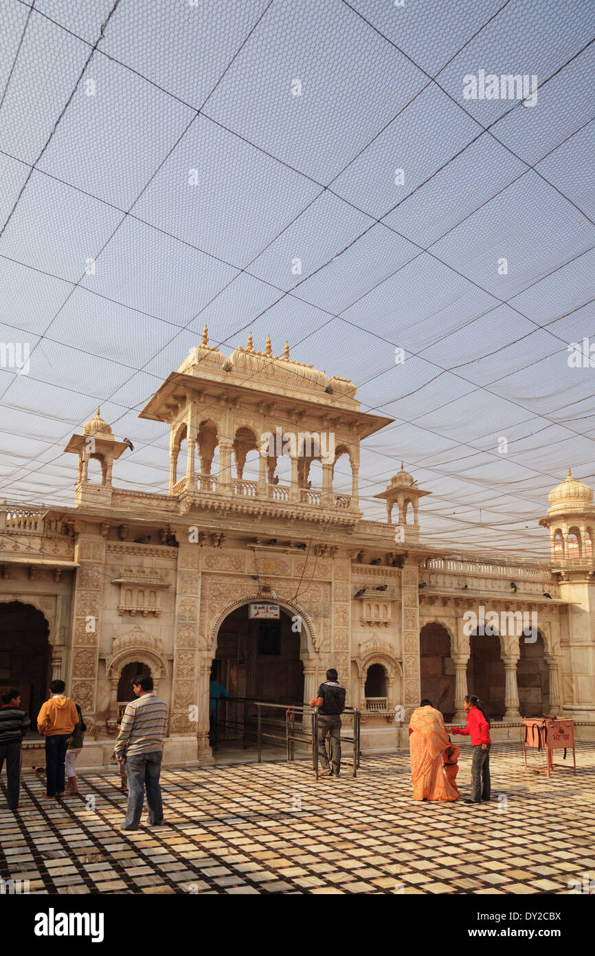 L'Inde, Rajasthan, Deshnok Karni Mata, le Temple (temple des Rats Photo ...
