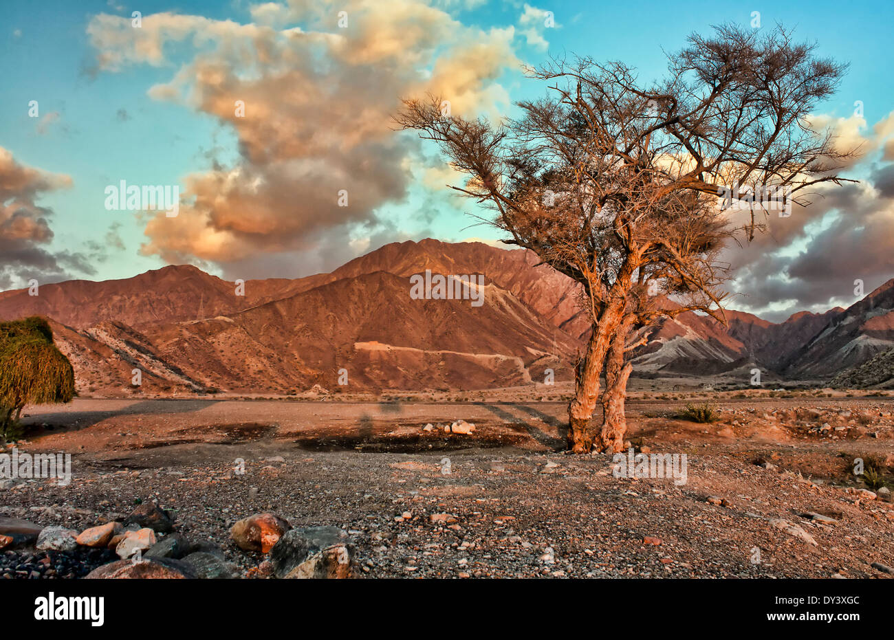 Terrain rocheux au sol Banque de photographies et d’images à haute ...