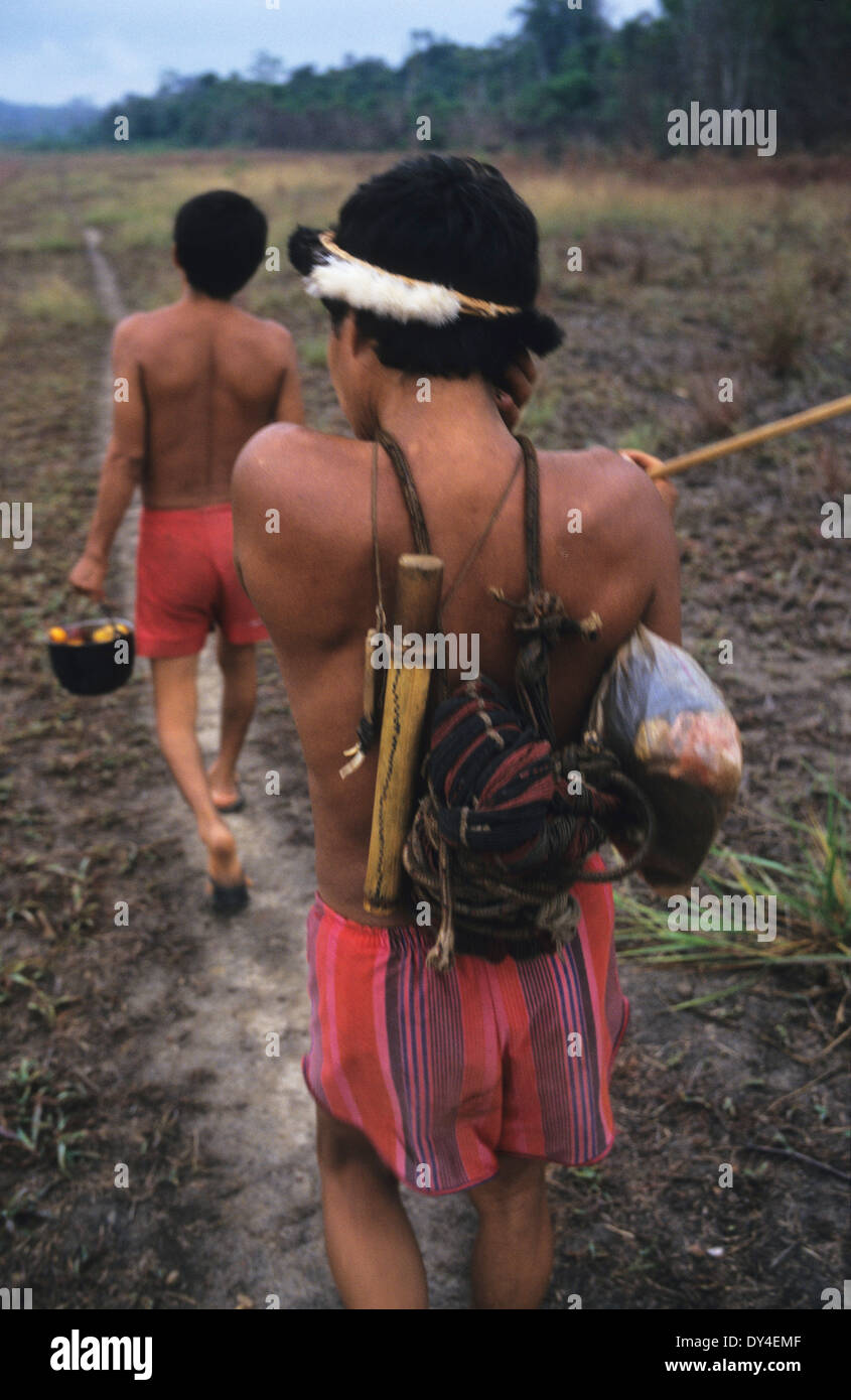 Chasse indienne yanomami Banque de photographies et d’images à haute ...