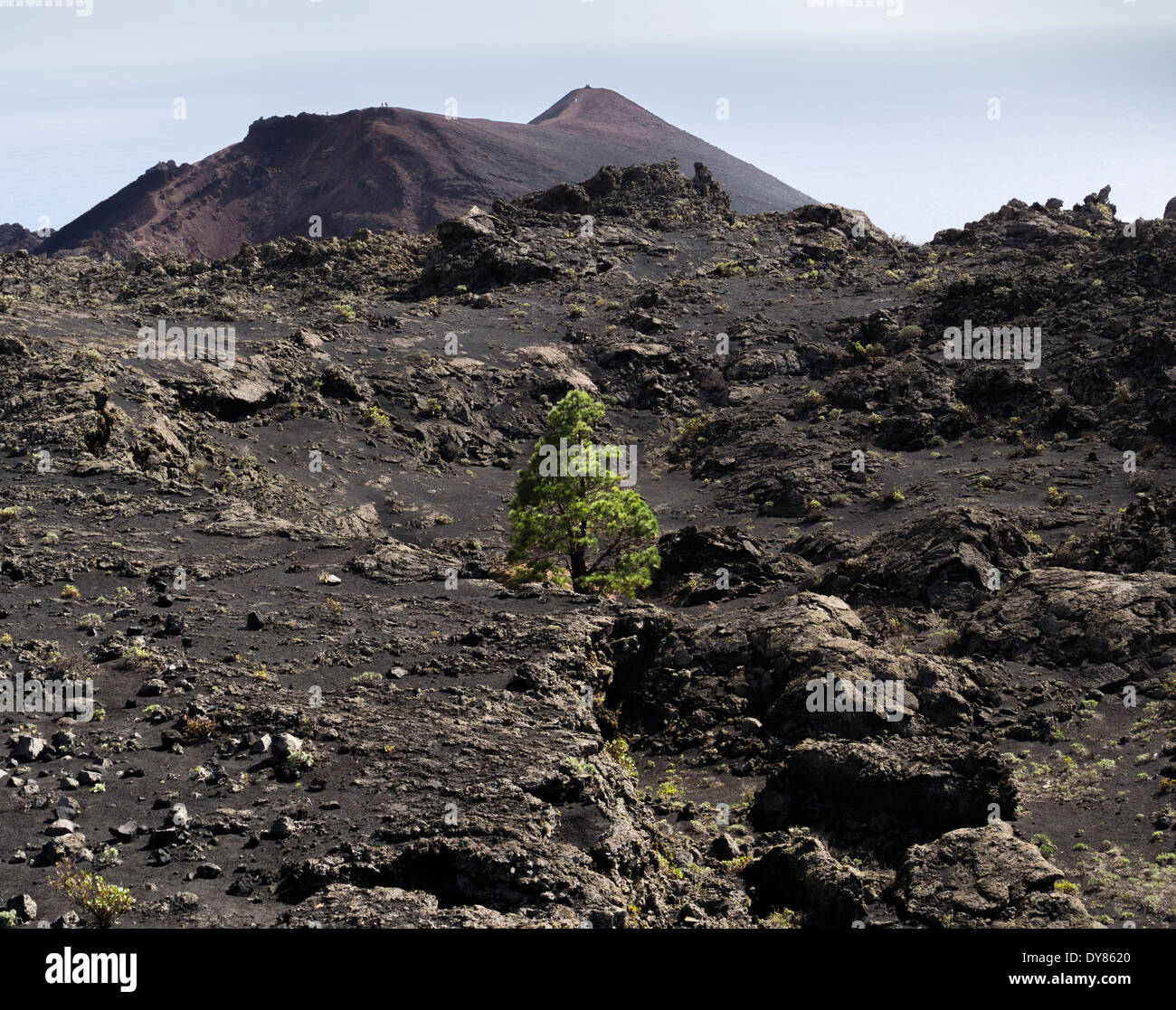 La terre du volcan Banque de photographies et d’images à haute ...