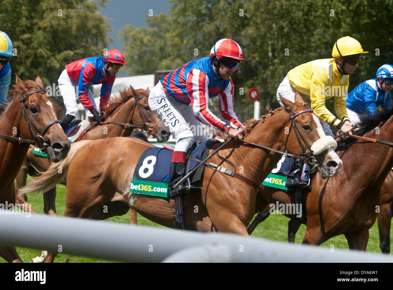 Courses de chevaux, Newmarket, deux chevaux, jockeys, haut rouge, bleu ...