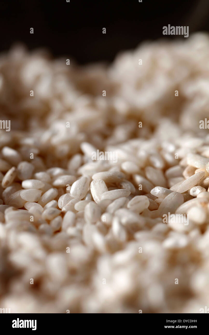 Les grains de riz Banque de photographies et d’images à haute ...
