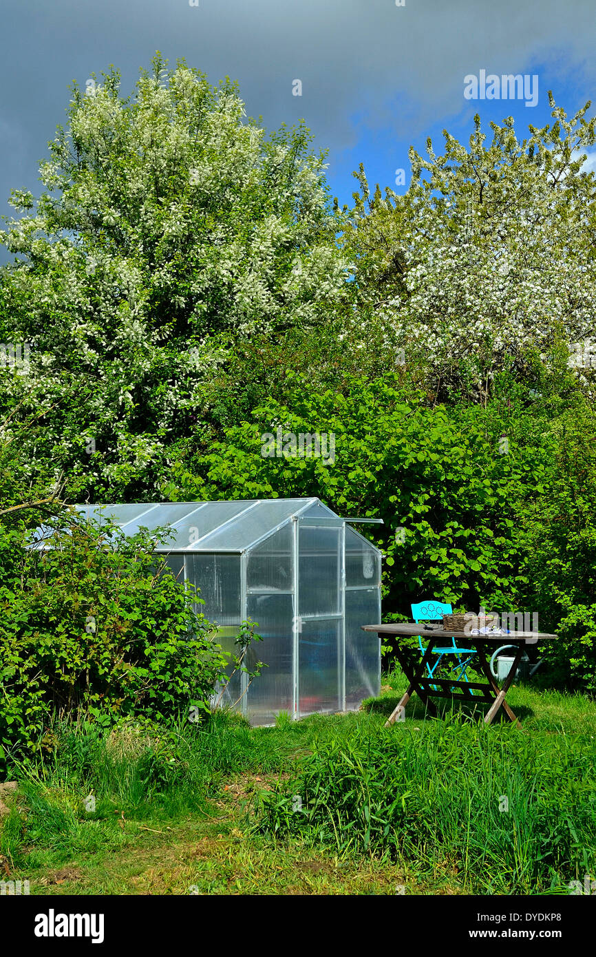 Arbre fruitier pour un petit jardin Banque de photographies et d’images ...