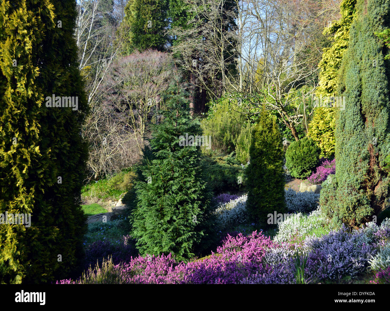 Mousse fletcher Banque de photographies et d’images à haute résolution ...