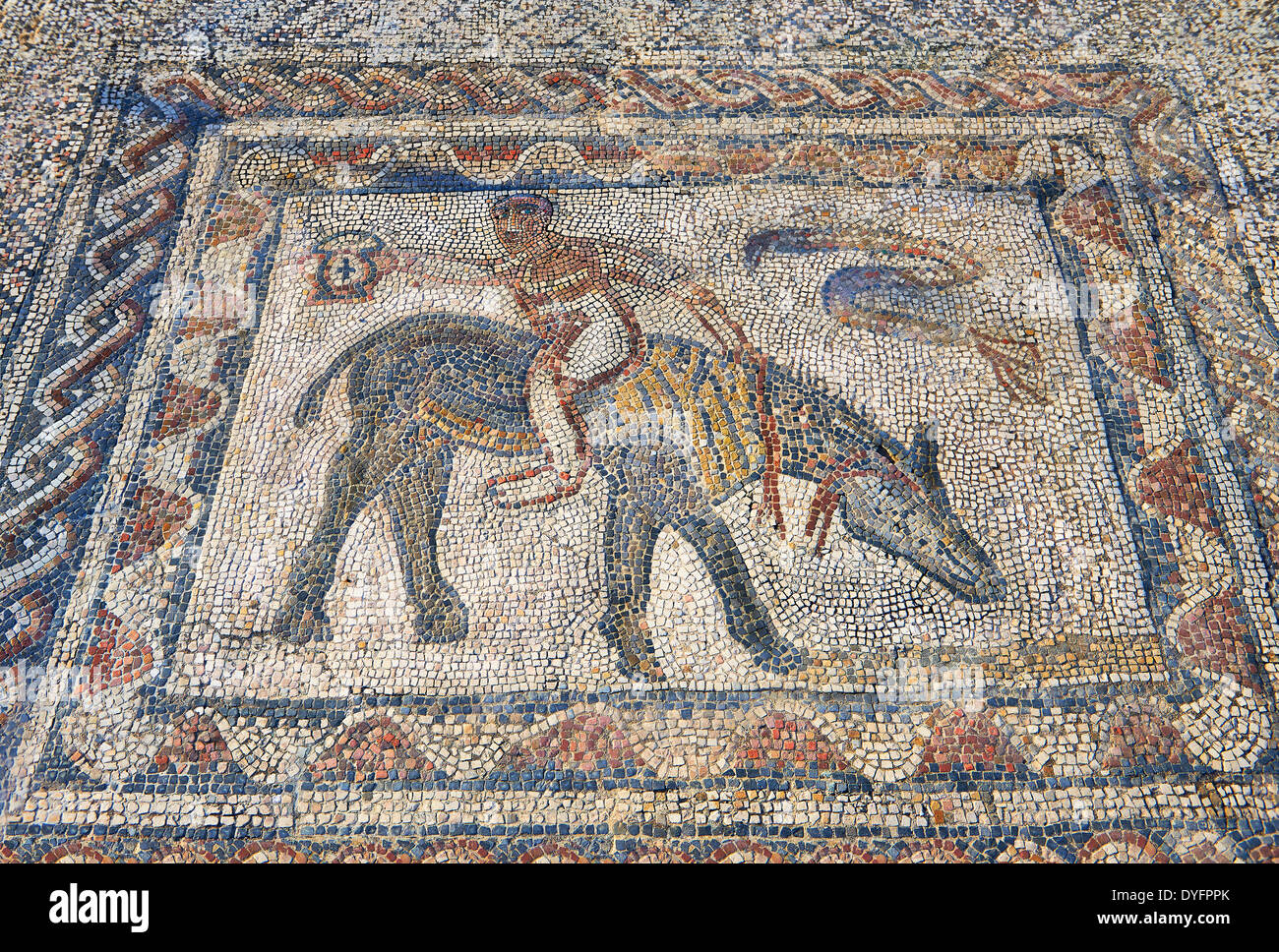 Célèbre mosaïque romaine Banque de photographies et d’images à haute ...