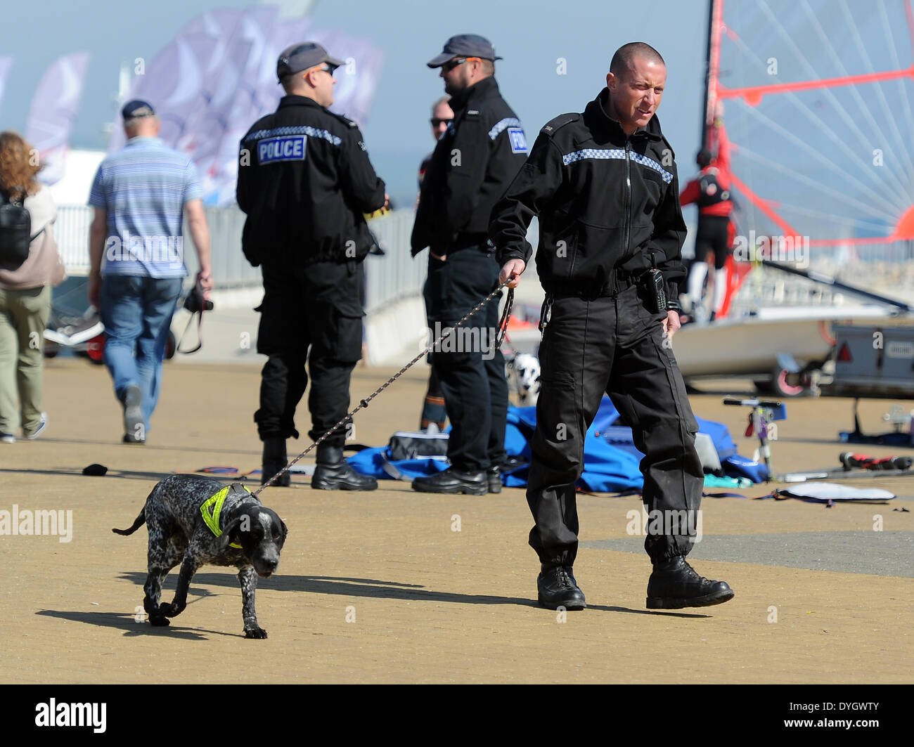 British police dog Banque de photographies et d’images à haute ...