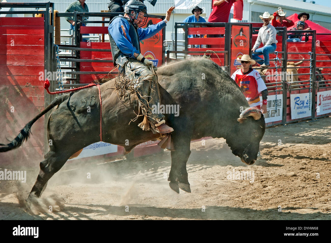 Rodeo, Bull ride Photo Stock - Alamy