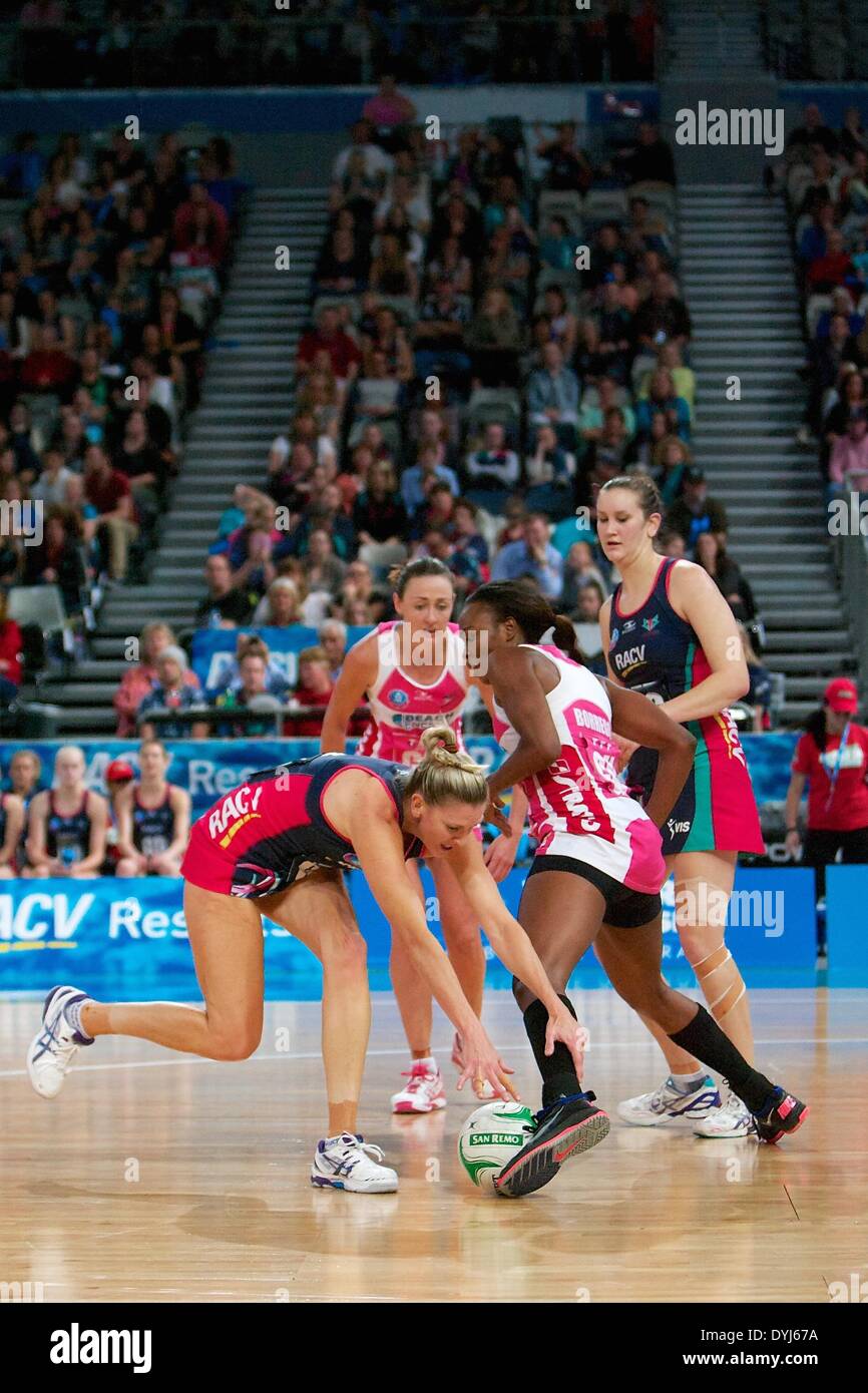 Renardes de melbourne Banque de photographies et d’images à haute ...