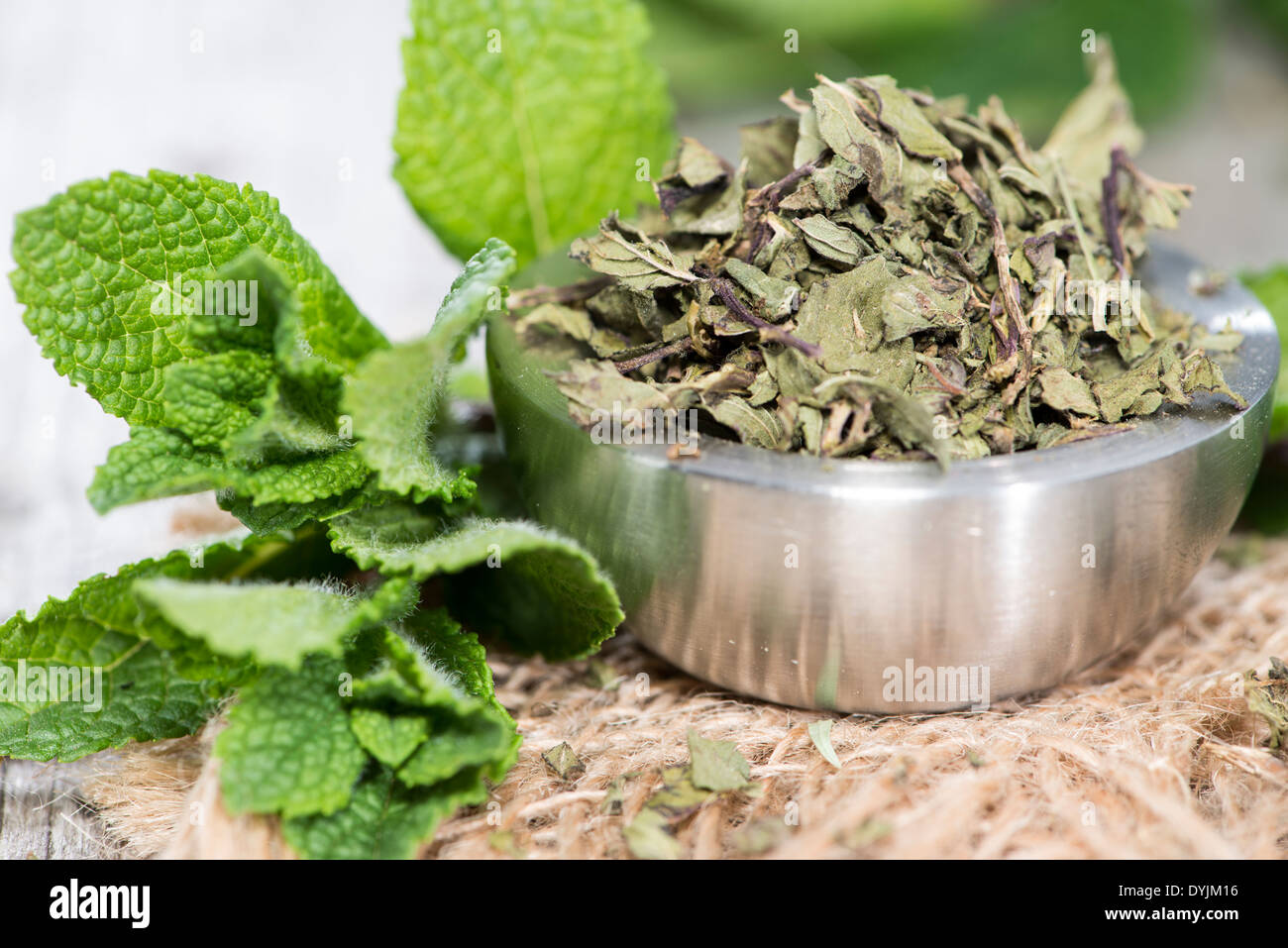 Feuilles de menthe sèches Banque de photographies et d’images à haute ...