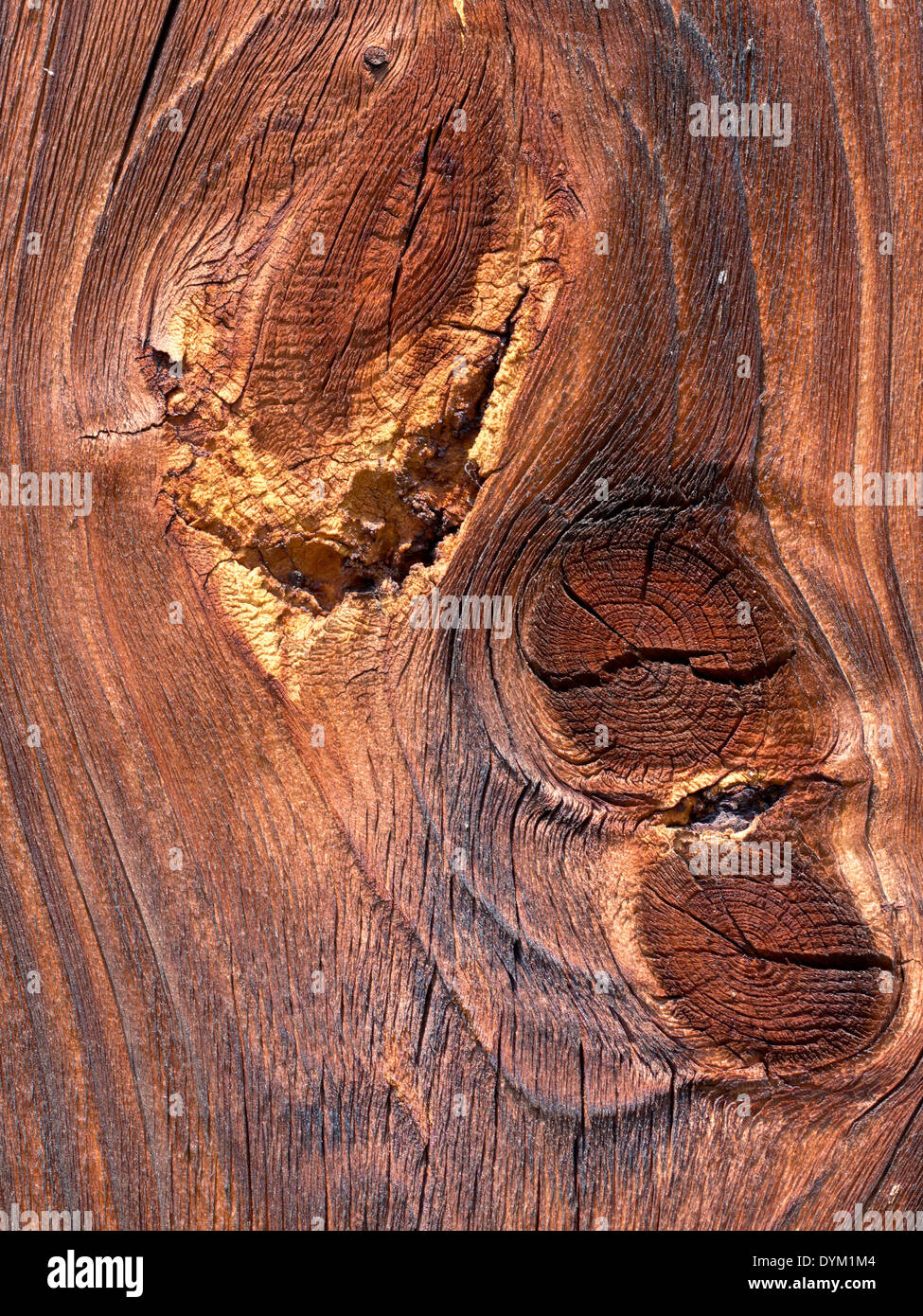 Old plank, avec noeuds de bois et fissuré, surface rugueuse en couches ...