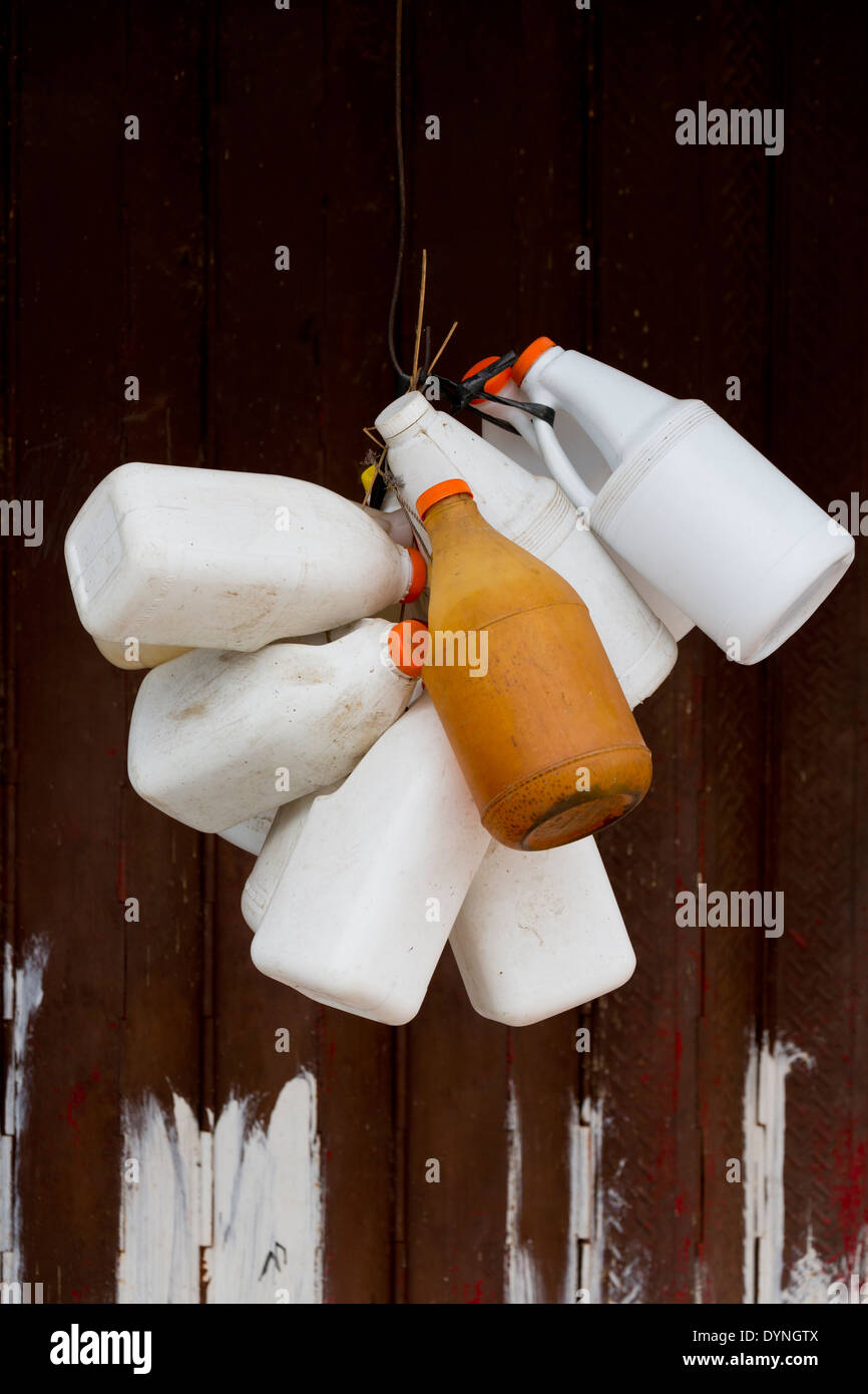 Les bouteilles en plastique à Puerto Princesa, Palawan, Philippines ...