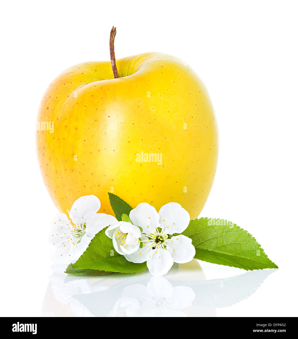 Pomme jaune Banque de photographies et d’images à haute résolution - Alamy