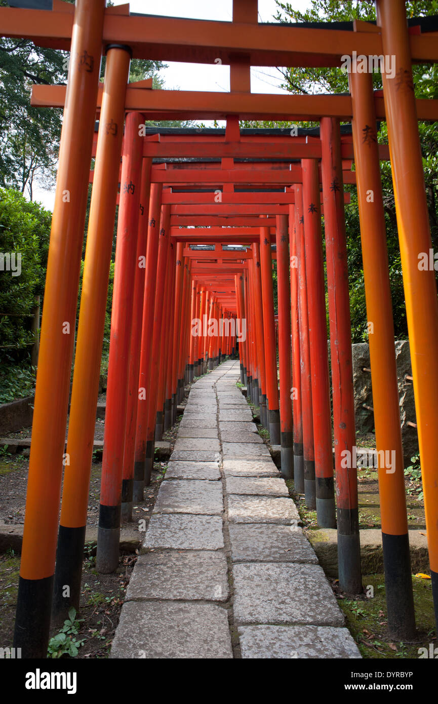 Torii gates nezu sanctuaire Banque de photographies et d’images à haute ...