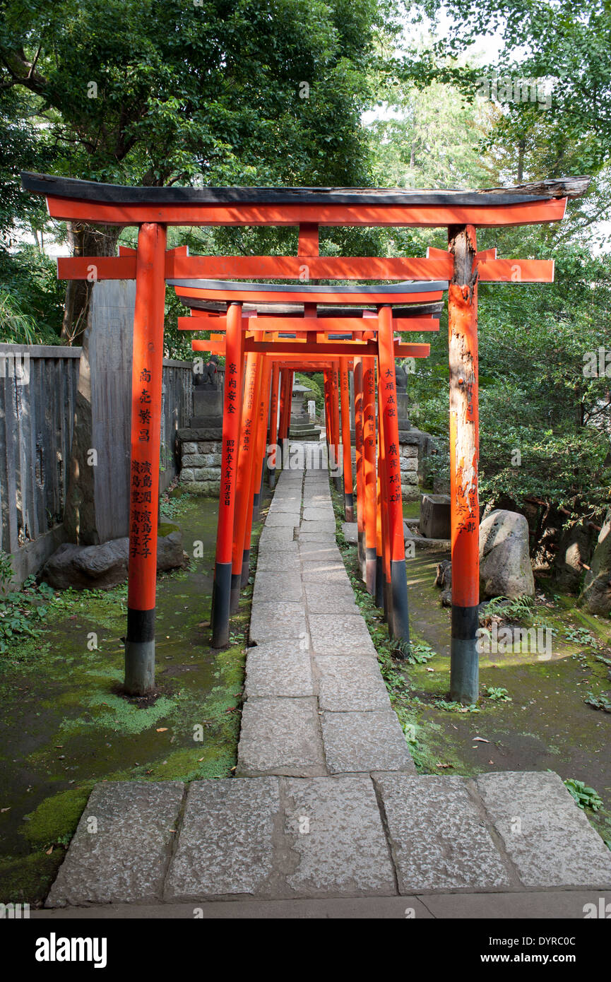 Torii gates nezu sanctuaire Banque de photographies et d’images à haute ...