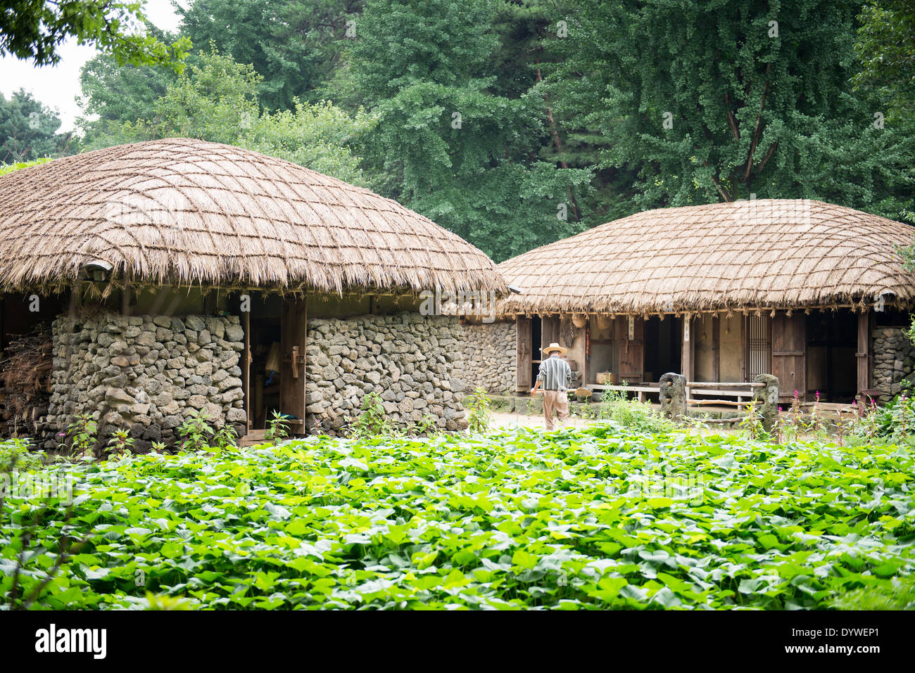 Ancienne kroean traditionnelles maisons à un folk village museum avec ...