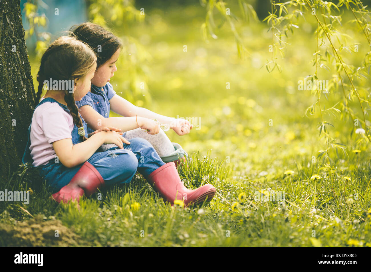 été de petites filles Banque de photographies et d’images à haute ...