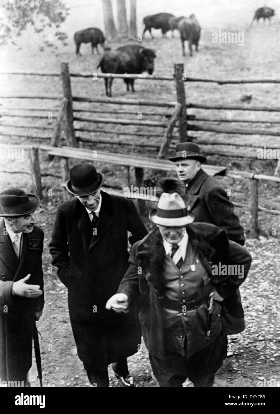 Edward lord halifax Banque de photographies et d’images à haute ...