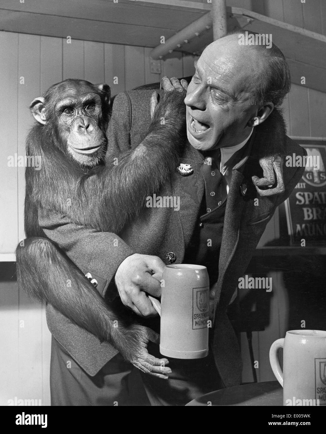 Beppo brem Banque de photographies et d’images à haute résolution - Alamy