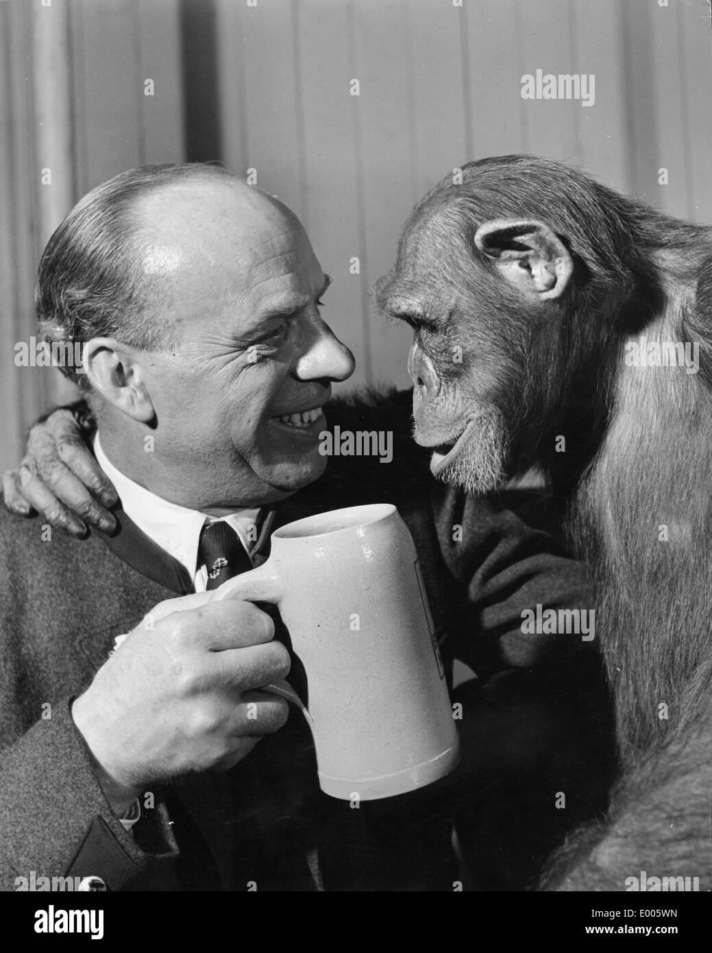 Beppo brem Banque de photographies et d’images à haute résolution - Alamy