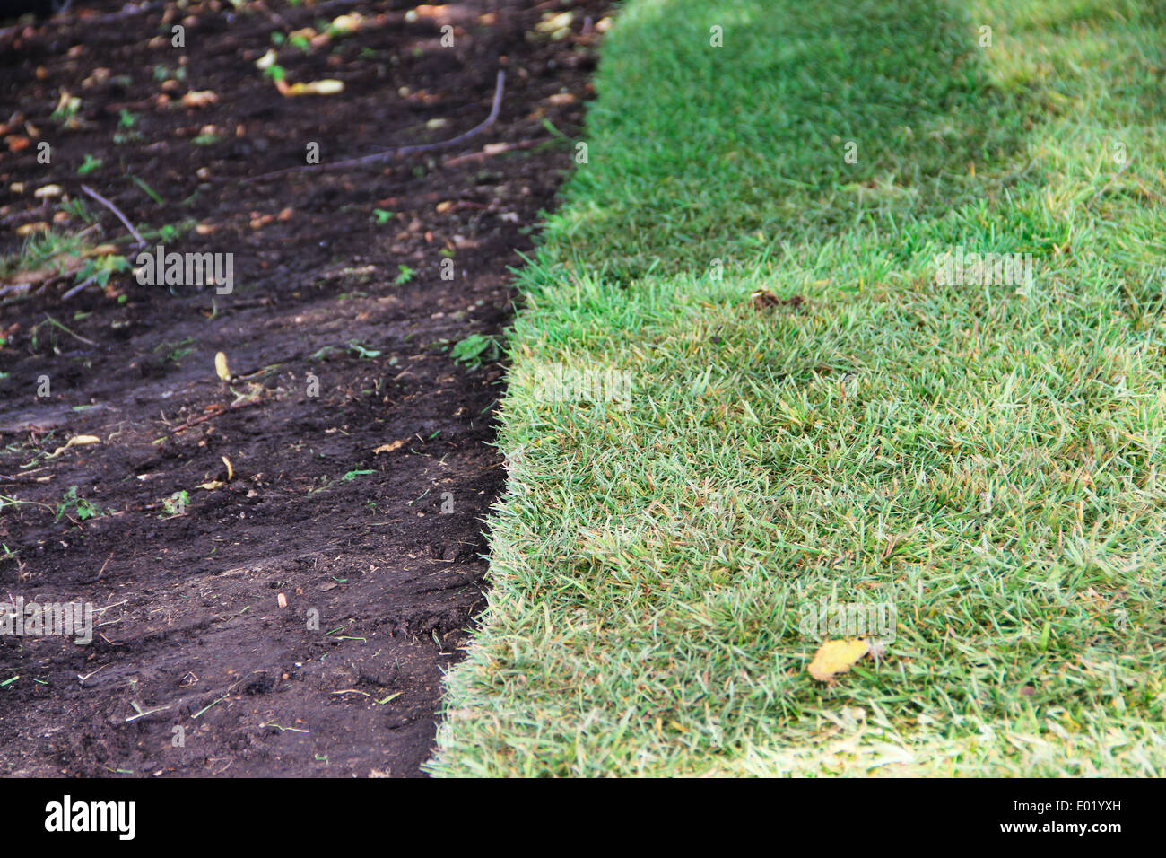 Earth grass soil background texture Banque de photographies et d’images ...