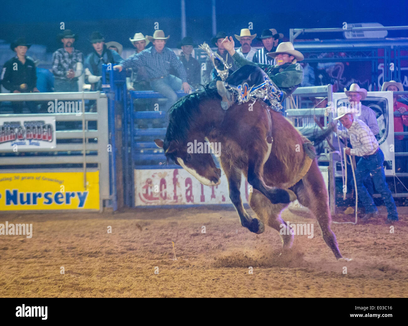 Cowboy participant à un cheval compétition à la Clark County Fair and ...