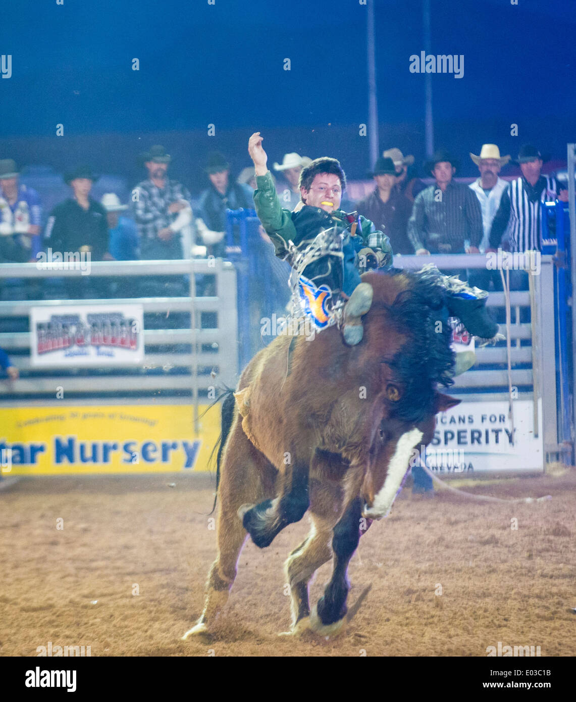 Cowboy participant à un cheval compétition à la Clark County Fair and ...