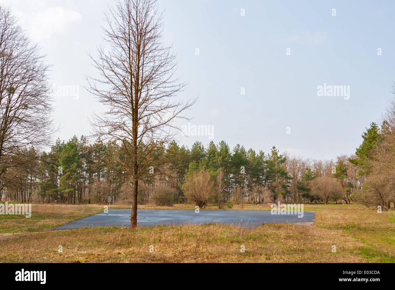 Helipad Grass Banque d'image et photos - Alamy