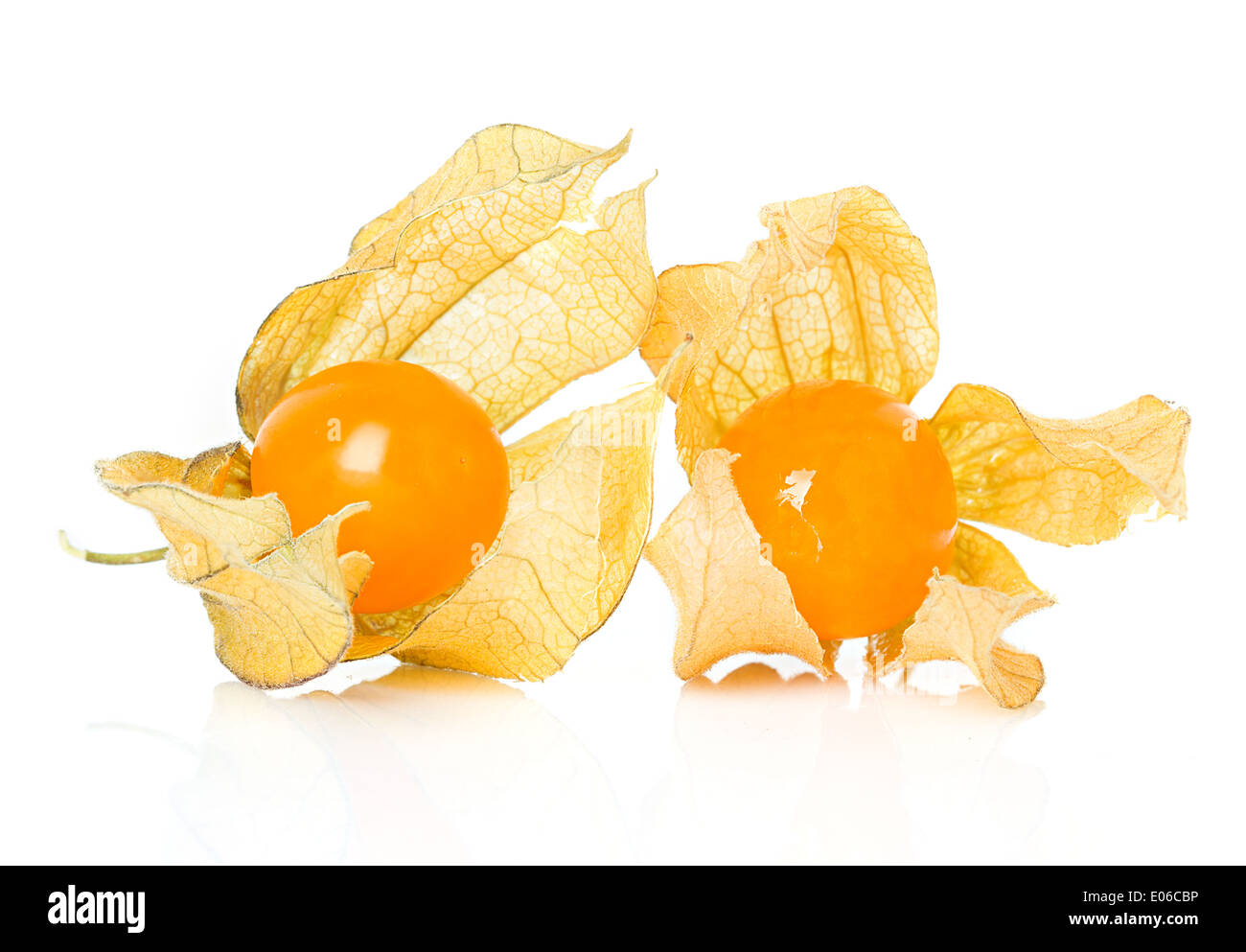 Physalis fruit et enveloppe Banque de photographies et d’images à haute ...