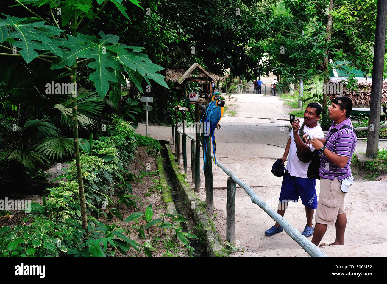 Zoo de quistococha Banque de photographies et d’images à haute résolution - Alamy