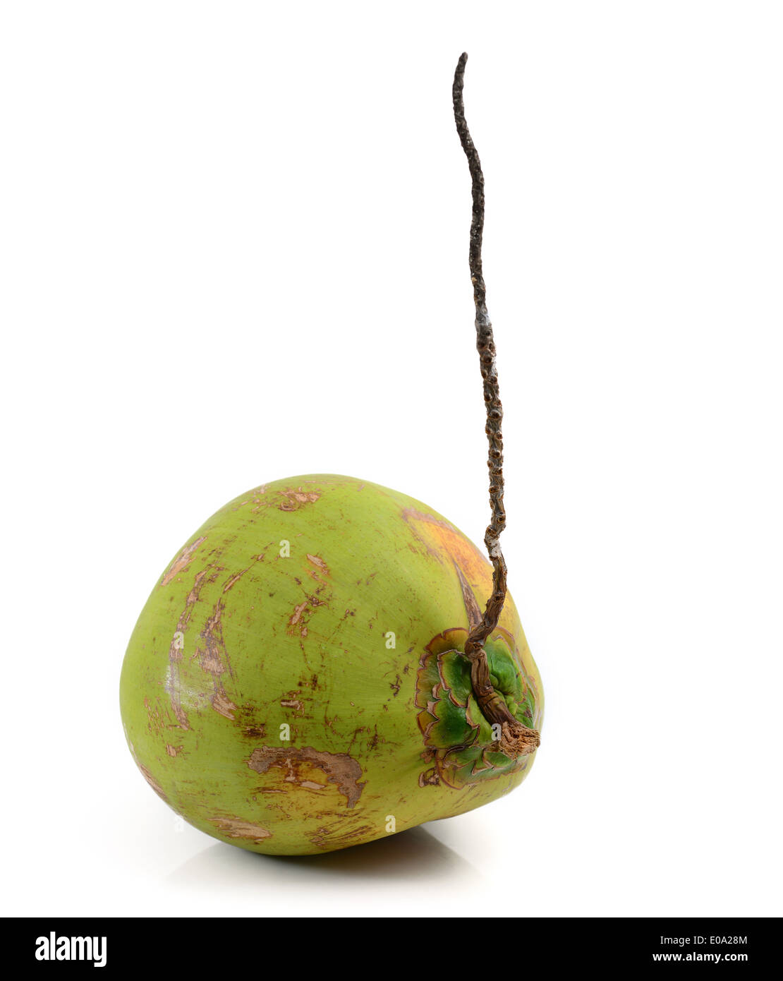 Coco fruit Banque de photographies et d’images à haute résolution - Alamy