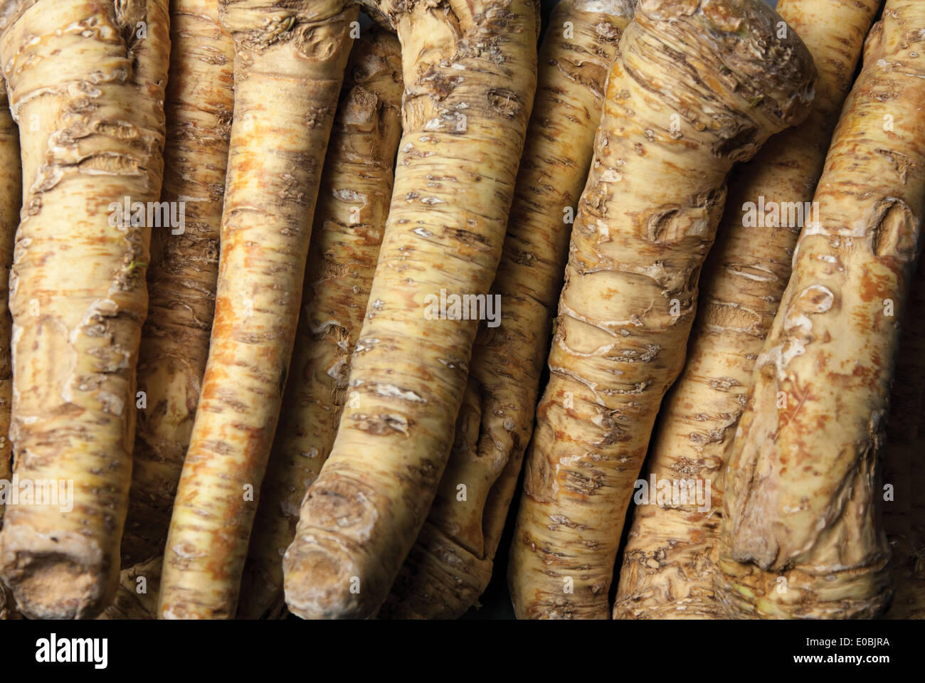 Racine de raifort Banque de photographies et d’images à haute ...