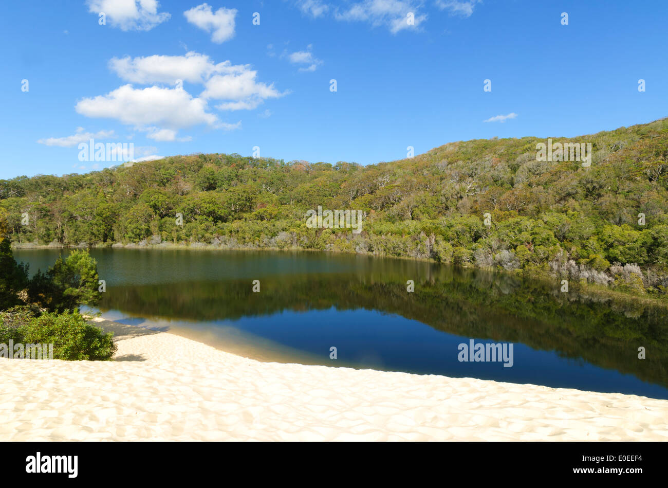 Fraser island queensland lake wabby Banque de photographies et d’images ...