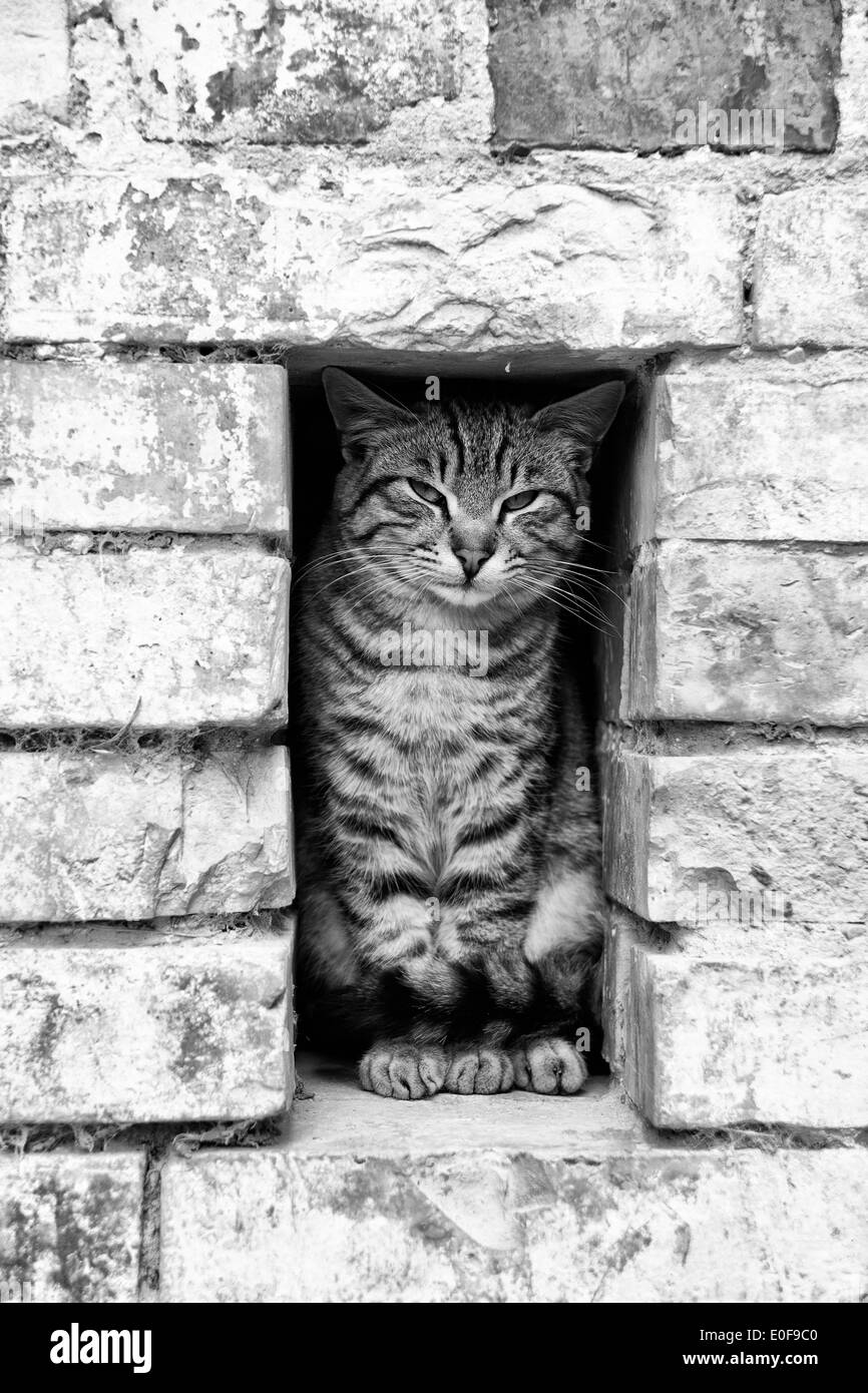 Regarder dans un trou Banque d'images noir et blanc - Alamy