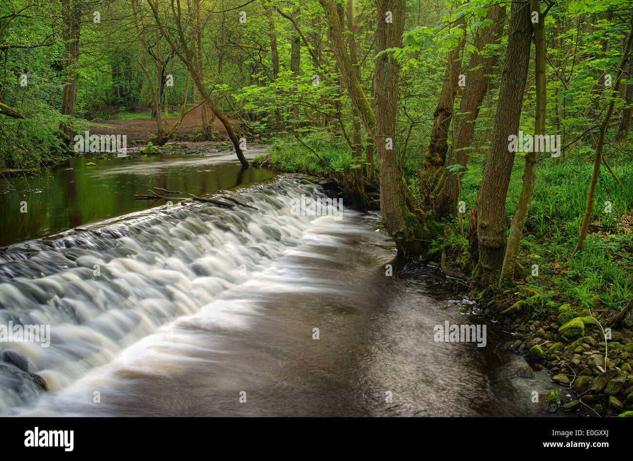 Chutes de rivelin valley Banque de photographies et d’images à haute ...