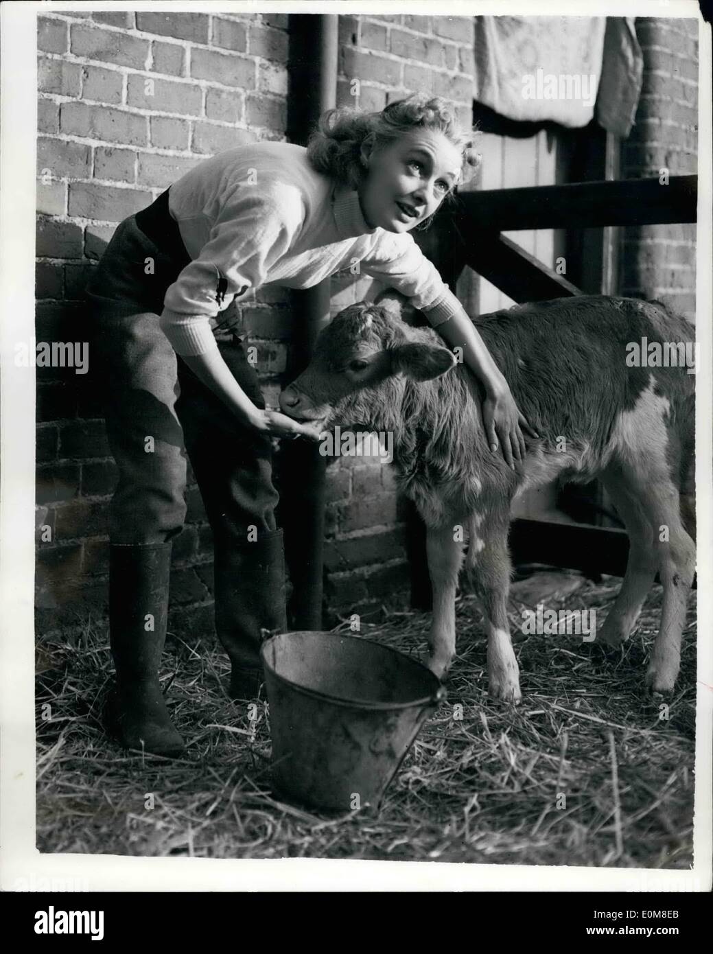 02 février 1954 - Claire mène une double vie : c'est un travail ardu ...