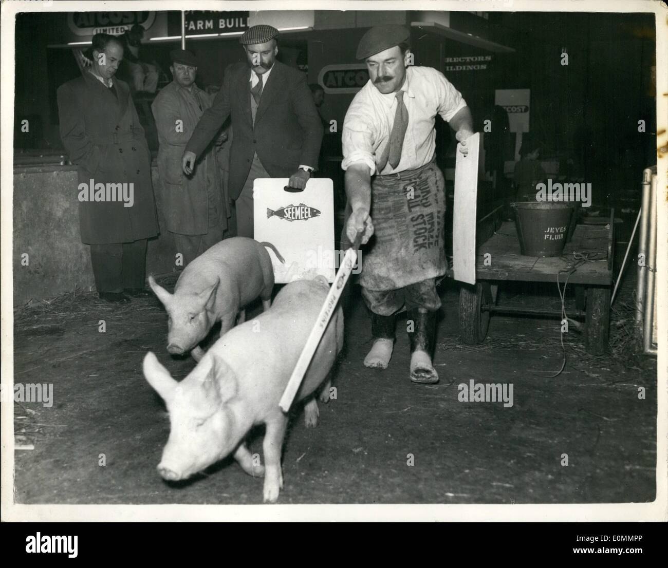 Comedian jimmy edwards Banque de photographies et d’images à haute ...