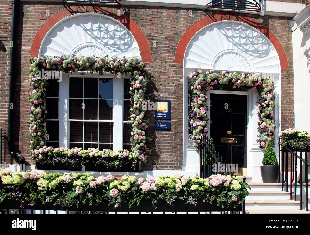 Chelsea flower show hortensia blanc Banque de photographies et d’images ...