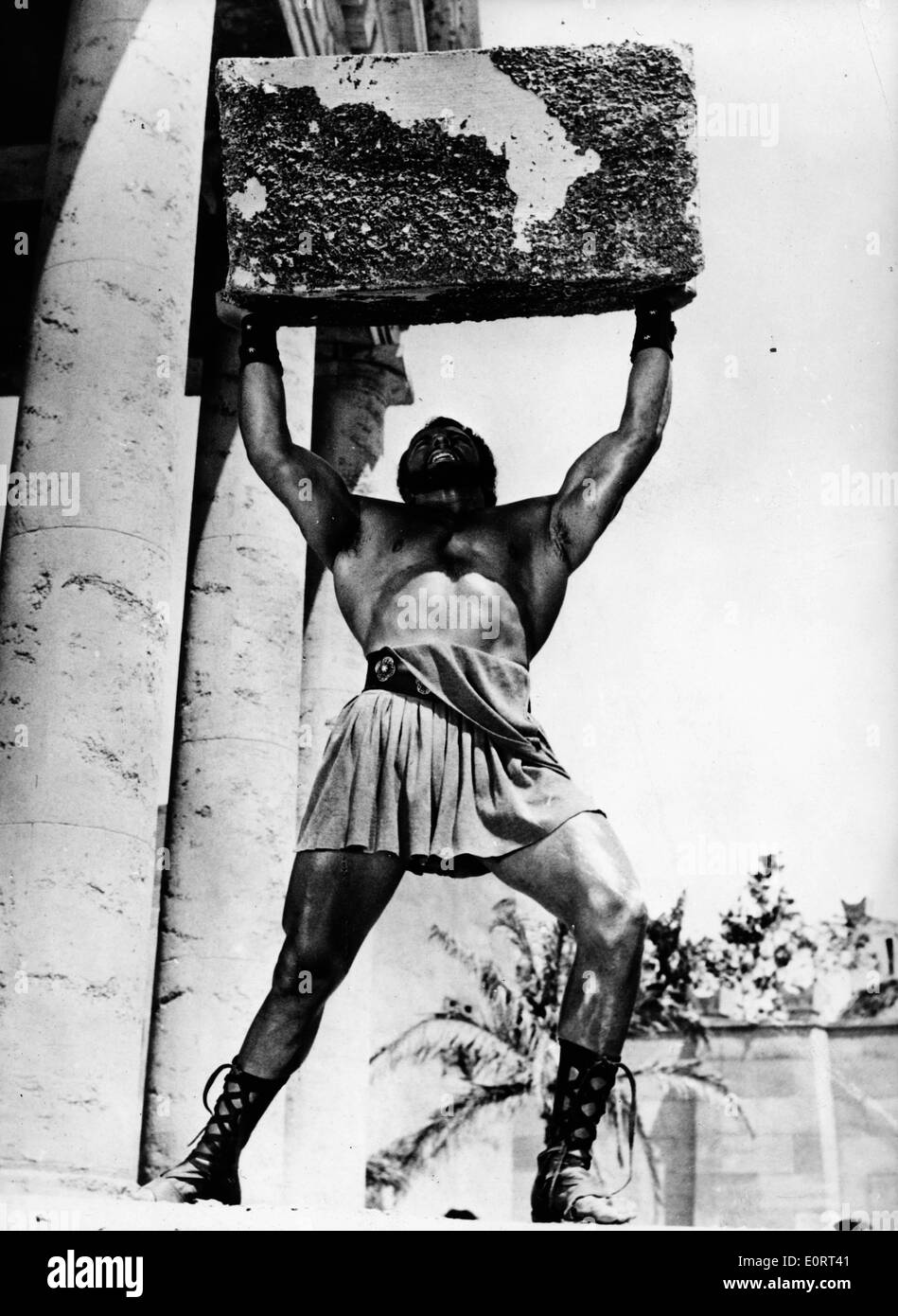 Mark forest Banque de photographies et d’images à haute résolution - Alamy