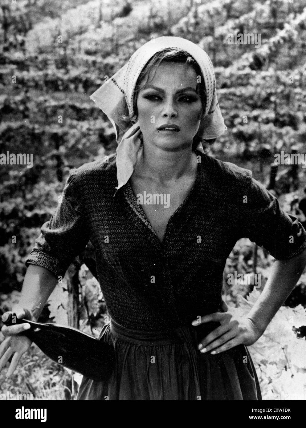 Virna lisi italian film actress Banque de photographies et d’images à ...