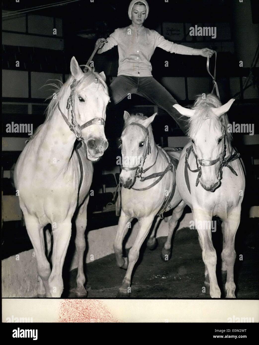 Brigitte auber brigitte auber brigitte Banque de photographies et d ...