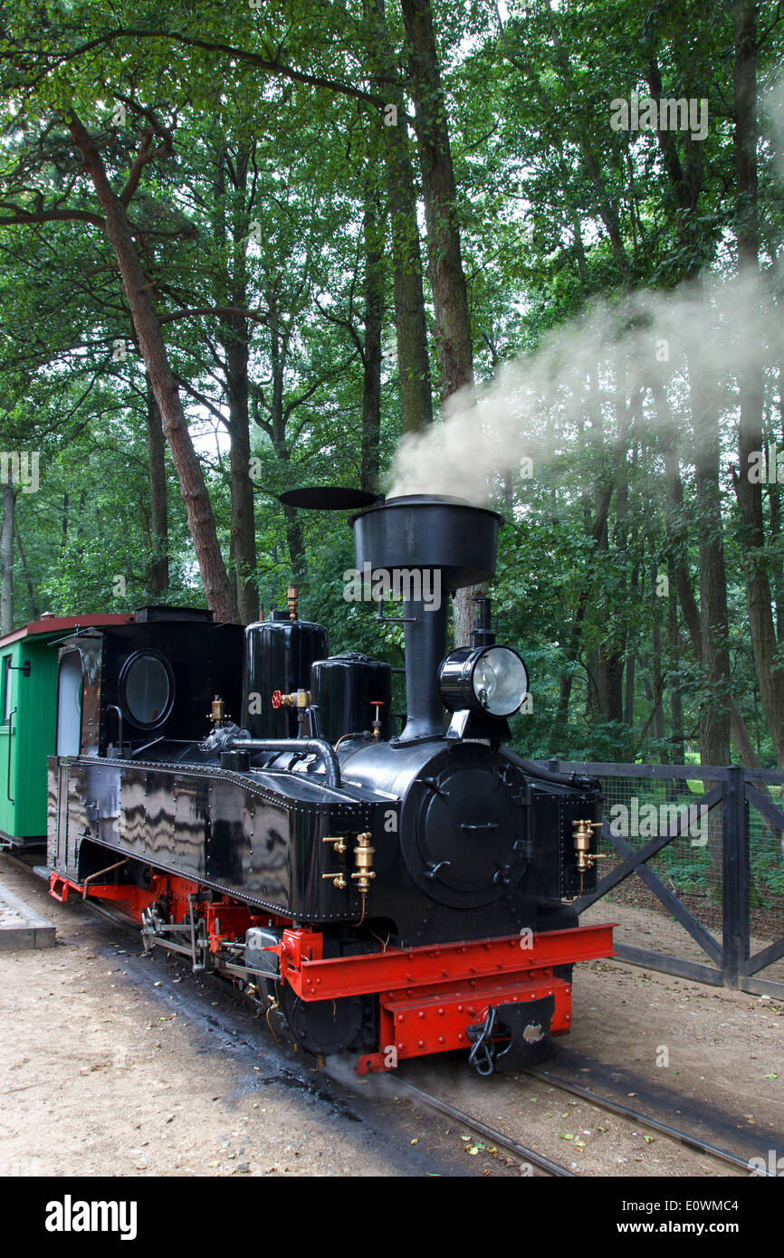Small steam locomotive Banque de photographies et d’images à haute ...