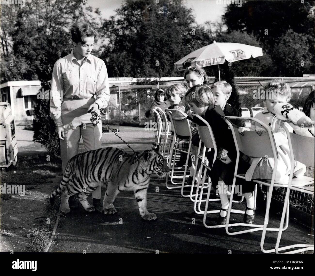 06 nov., 1963 - ''Wow Regardez cette Big Pussy Cat !'' : Mary ...