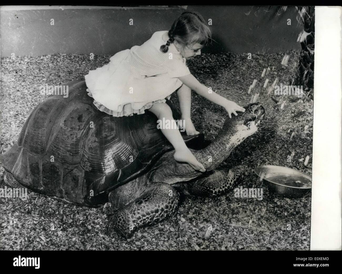 08 août 1966 - ils n'ont toujours pas gagné de course..... Sept ans ...