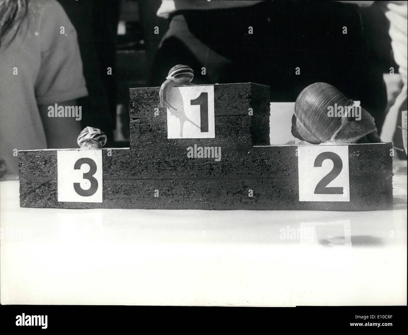 Courses d'escargots Banque de photographies et d’images à haute ...