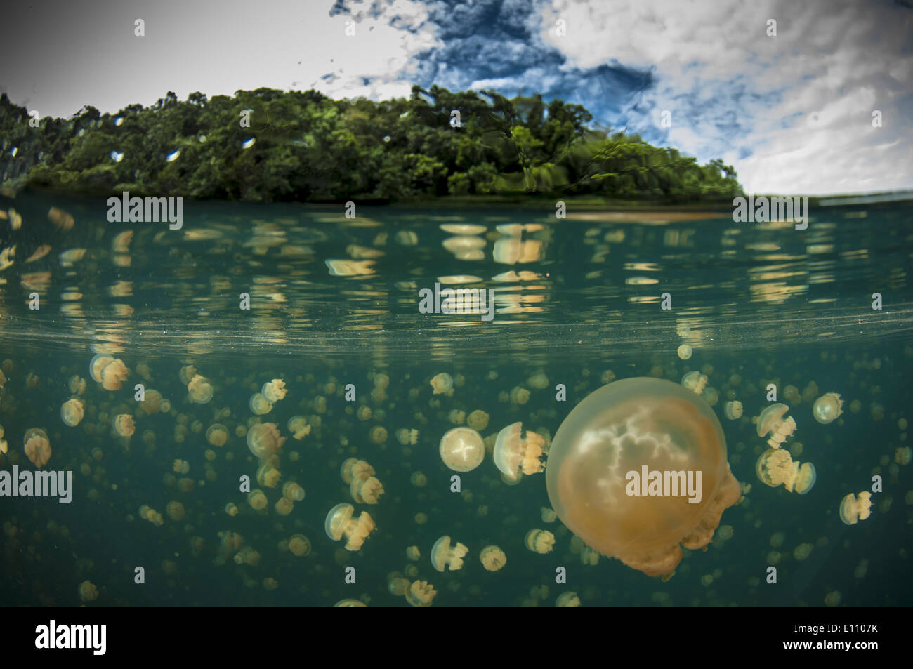 Groupe palau Banque de photographies et d’images à haute résolution - Alamy