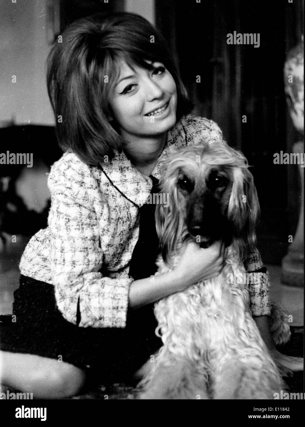 Portrait de l'actrice Alida Chelli avec son chien Photo Stock - Alamy