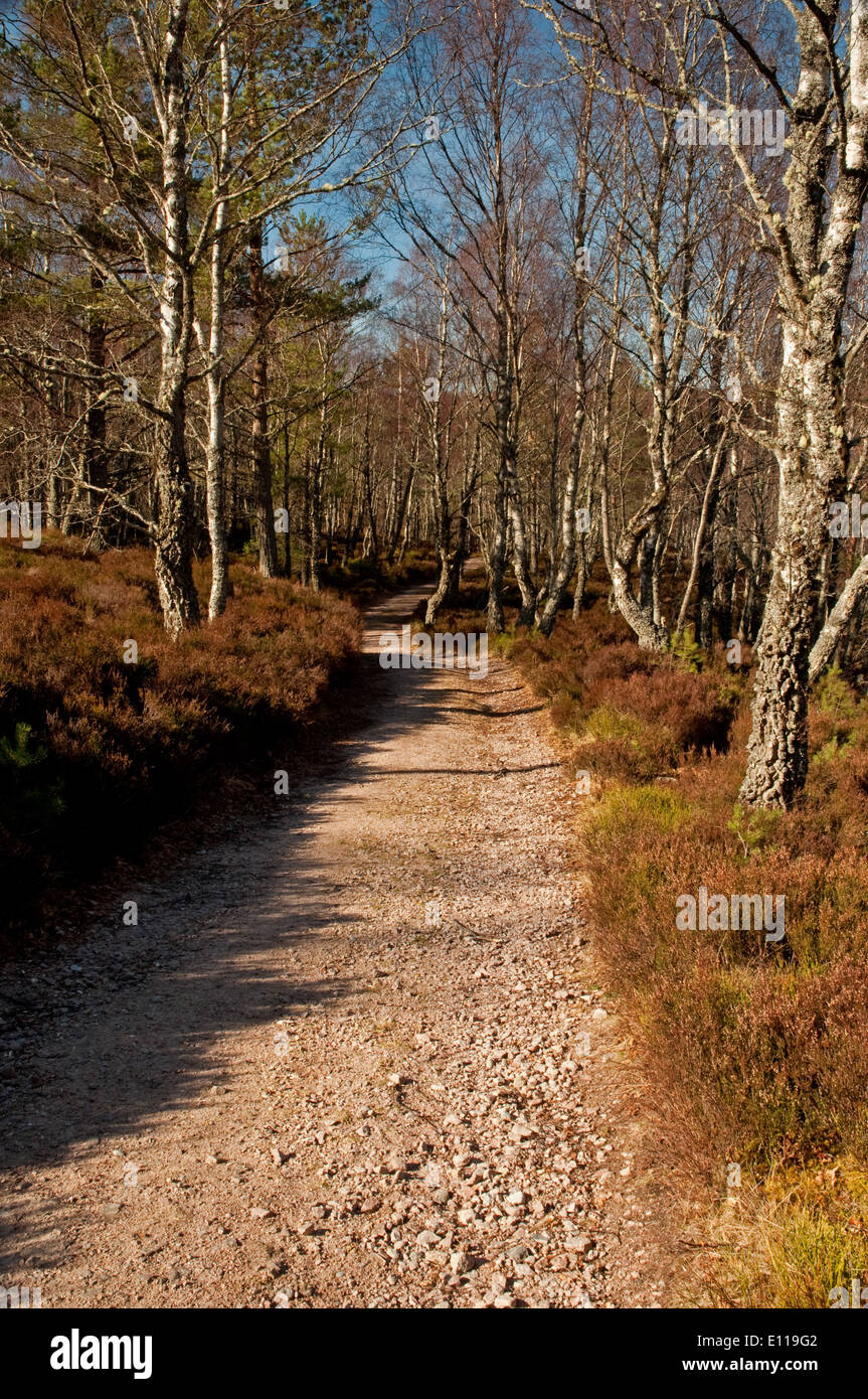 Sluggan bridge Banque de photographies et d’images à haute résolution ...