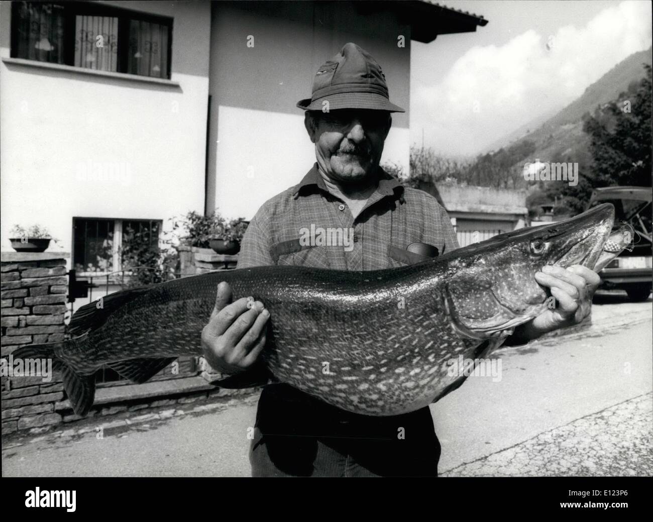 Attraper les poux Banque de photographies et d’images à haute ...