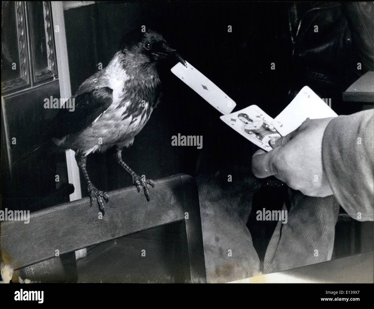 Gin rummy Banque de photographies et d’images à haute résolution - Alamy