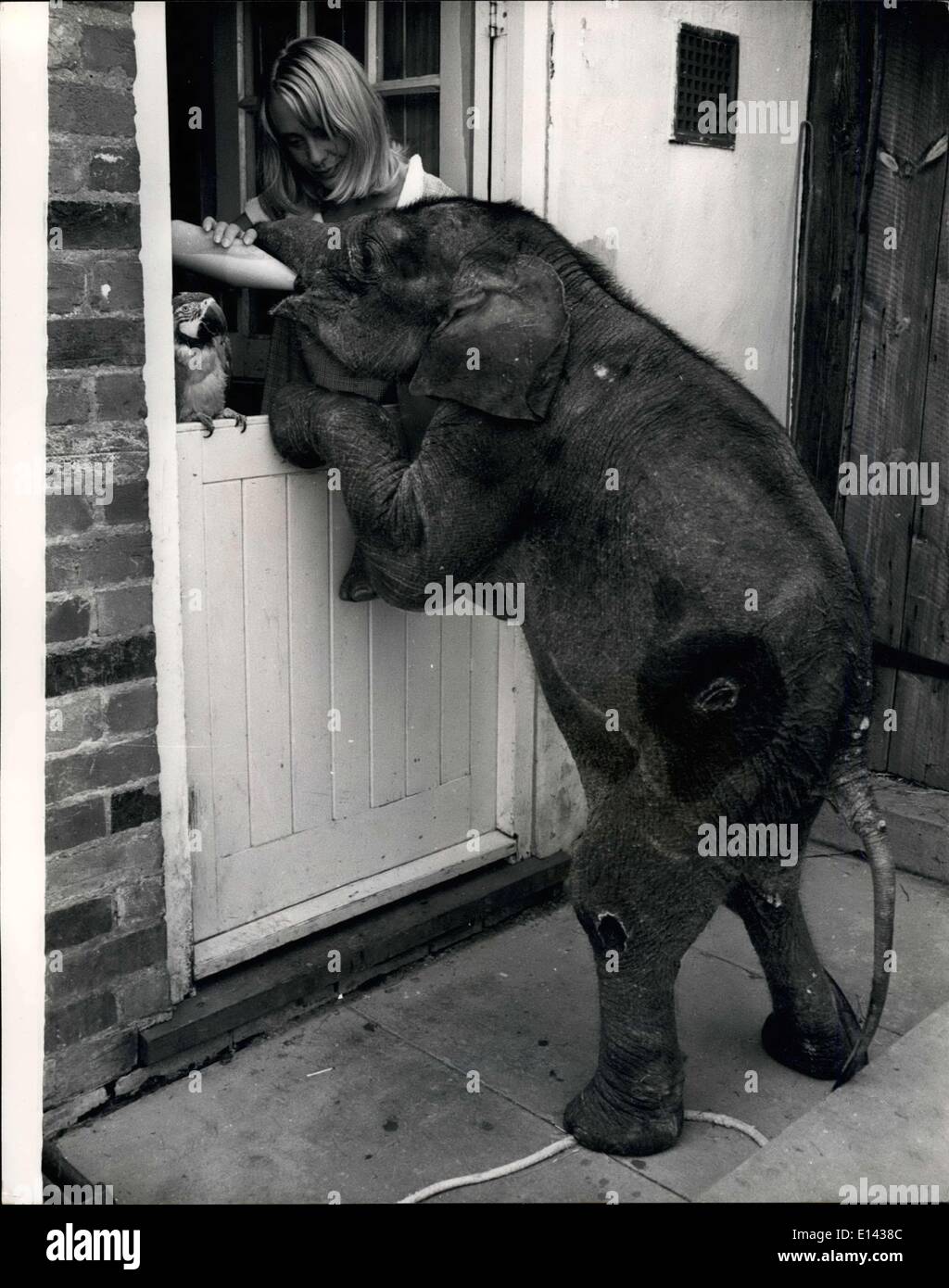 Pinta quotidien Banque de photographies et d’images à haute résolution ...